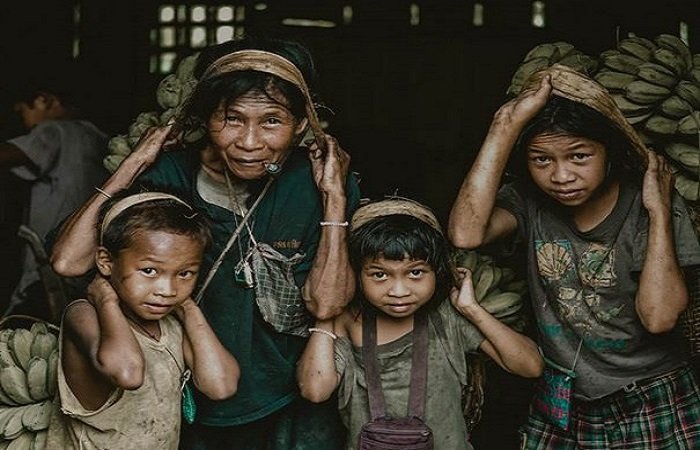 NGO For Stray Dogs and Animals in Lucknow | IGSS